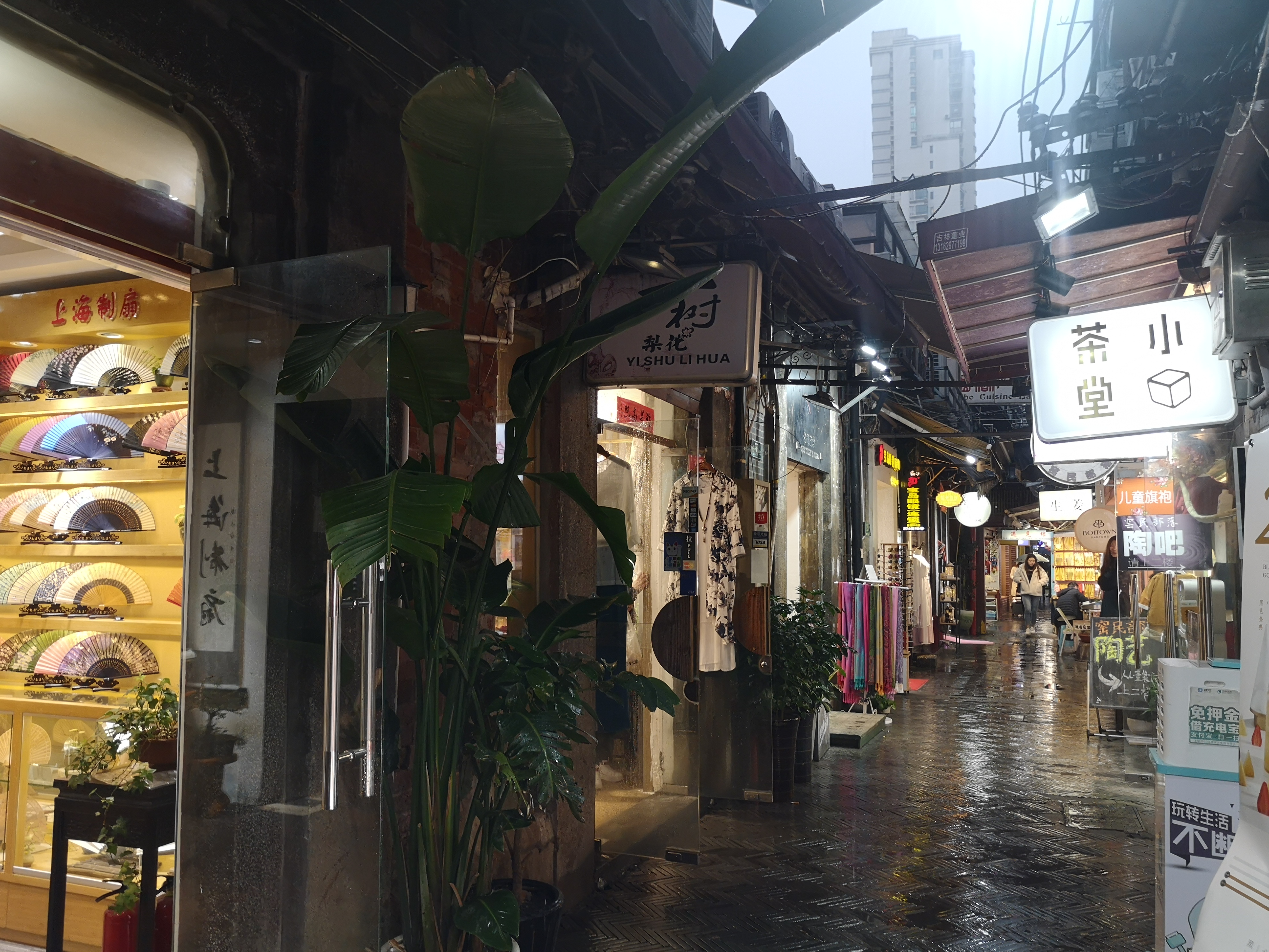 ShangHai TianZiFang - China ChengDu Tours, Chengdu Panda Volunteer Program